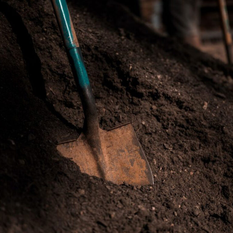 Dirt Removal Sydney - VIP Landscapes